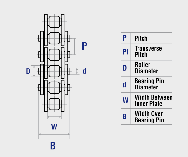 Galaxy Chain Pvt. Ltd.